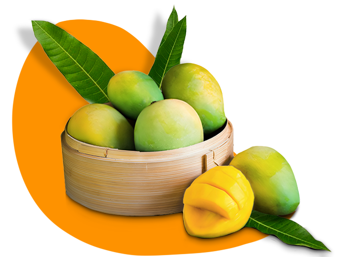 Premium Kesar Mangoes – Fruitkarma